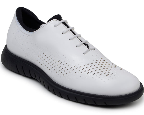 Studio Belvedere 'Maxim' Catalog